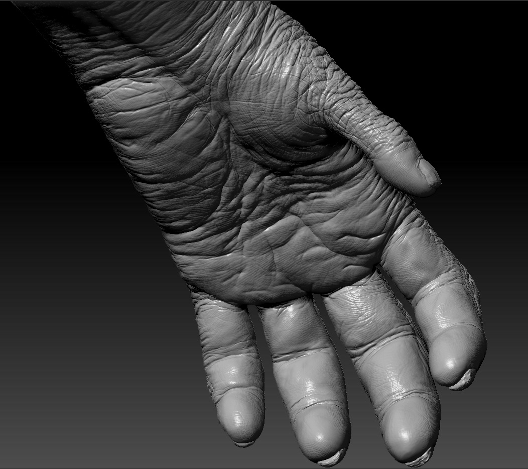 Chimpanzee - PaulLiawReel